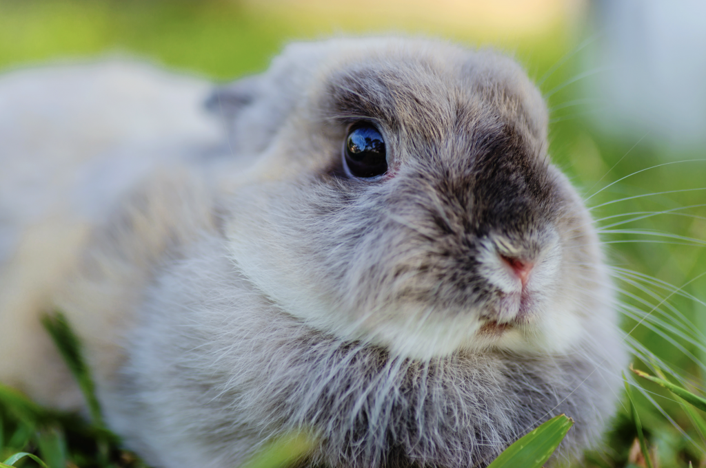 Artist's Oasis - Yarra Valley & Ranges Magazine